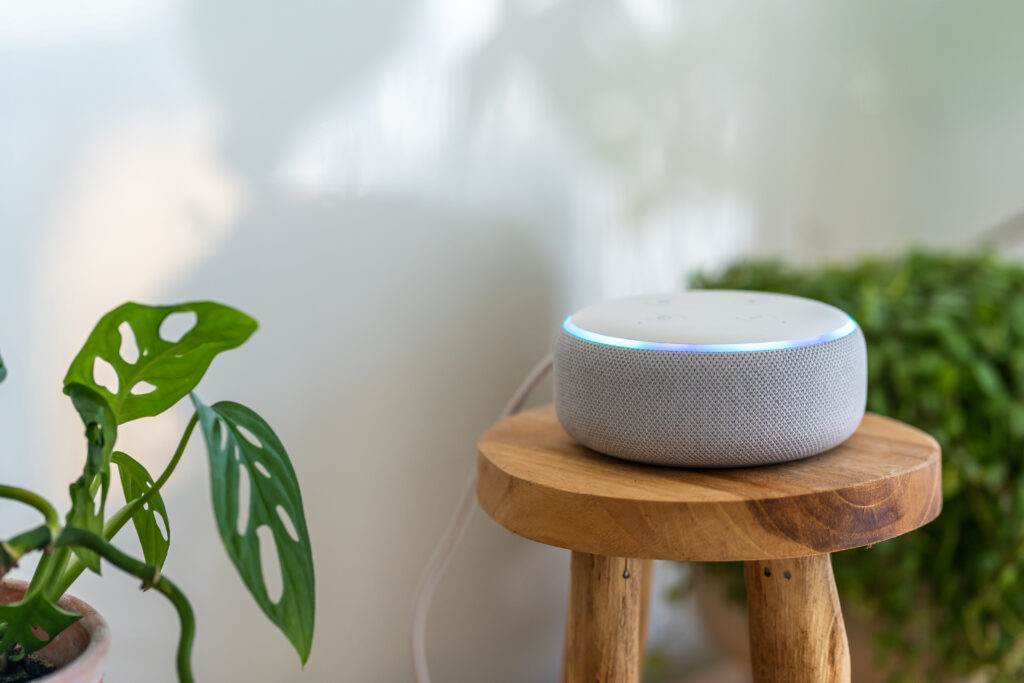Voice Commerce on Alexa: A Technical Roadmap for E-commerce Brands ...